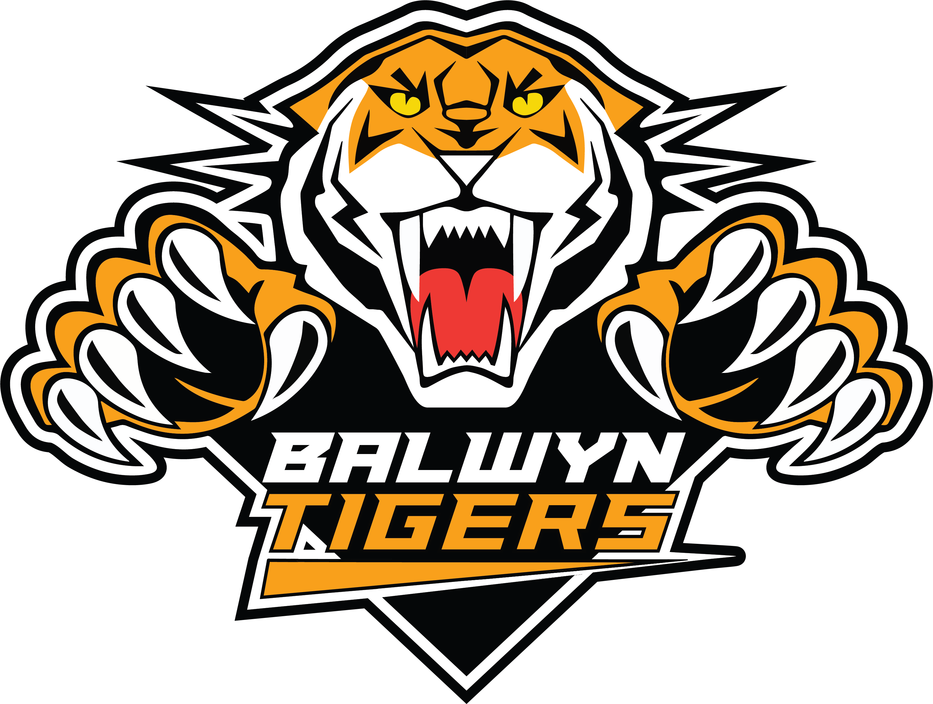 Testimonials | Paul Johnson - Balwyn Football Club | SPT ...